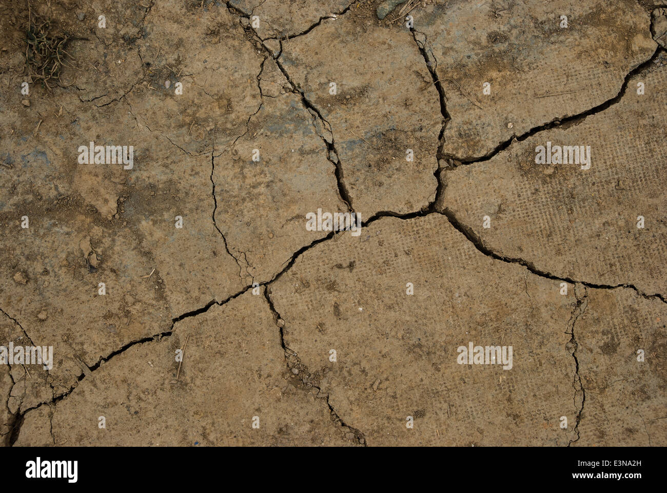 Mud texture hi-res stock photography and images - Alamy