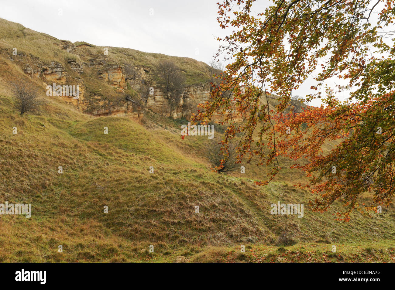 Escarpment on Cleeve Common Cleeve Hill, between Cheltenham and ...