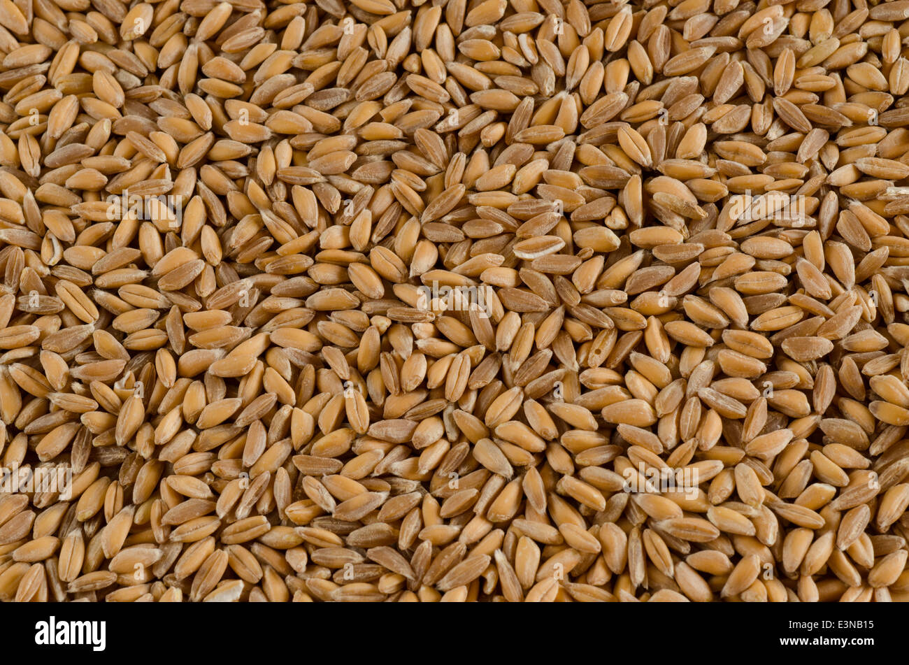 spelt, close up, texture Stock Photo - Alamy