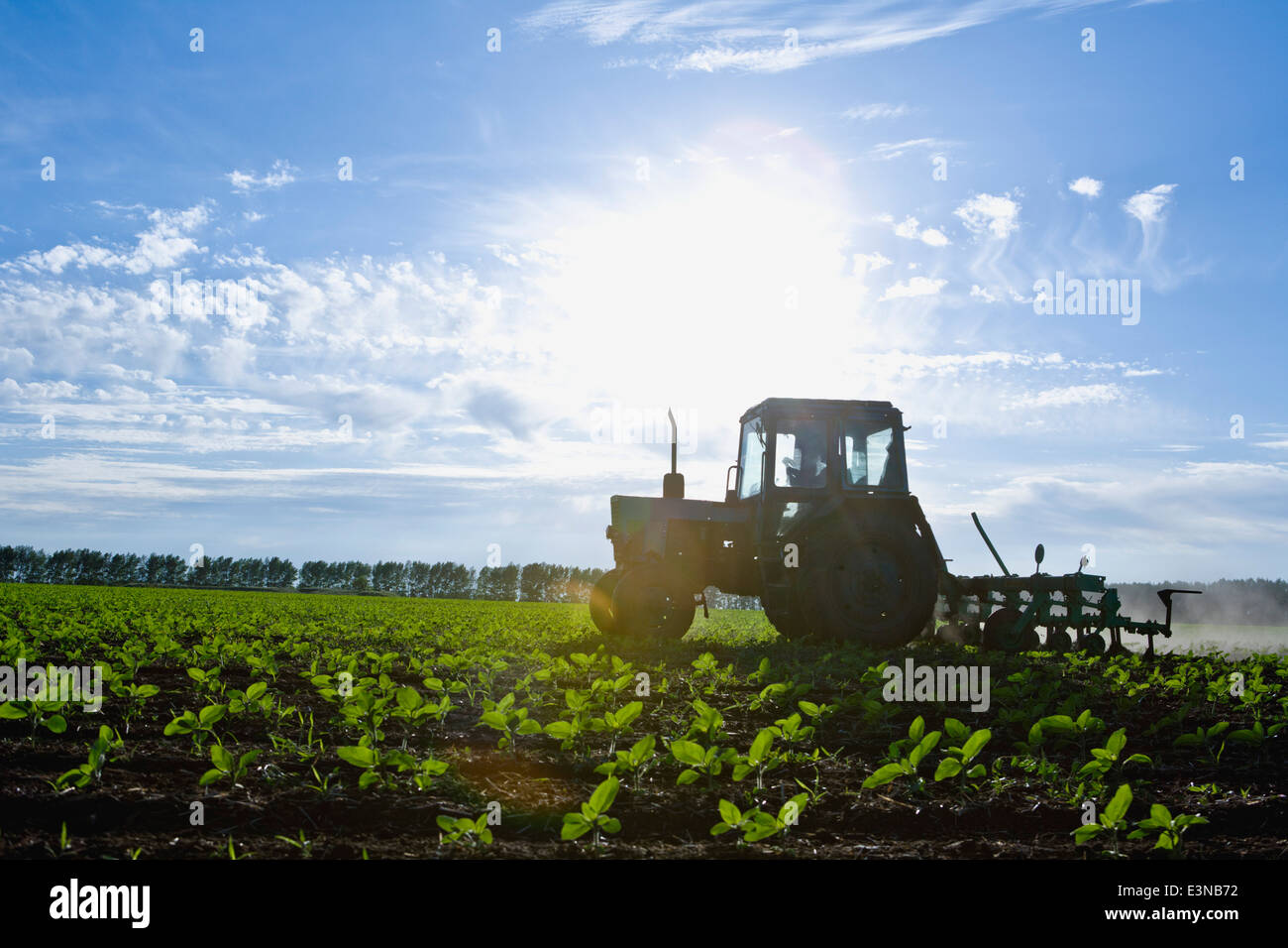 Combine harvester harvesting crop Stock Photo - Alamy