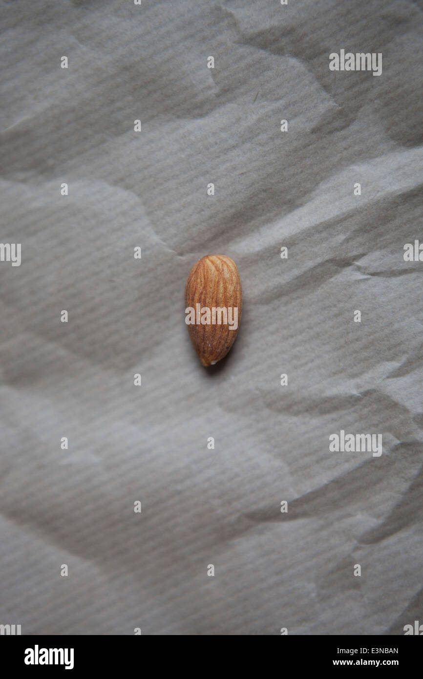 Single almond on paper Stock Photo - Alamy