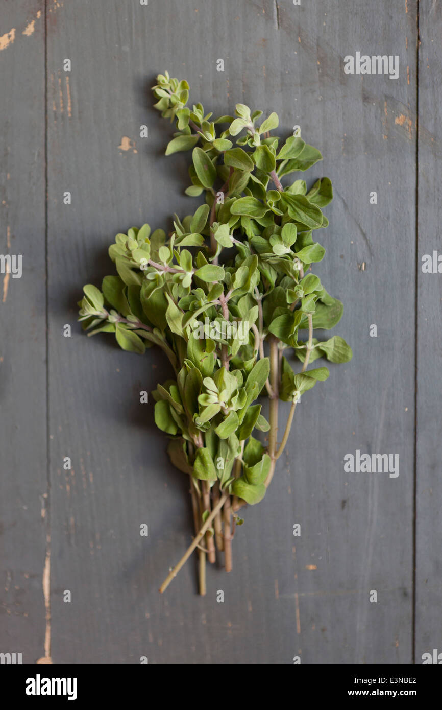 Bunch of fresh oregano hi-res stock photography and images - Alamy