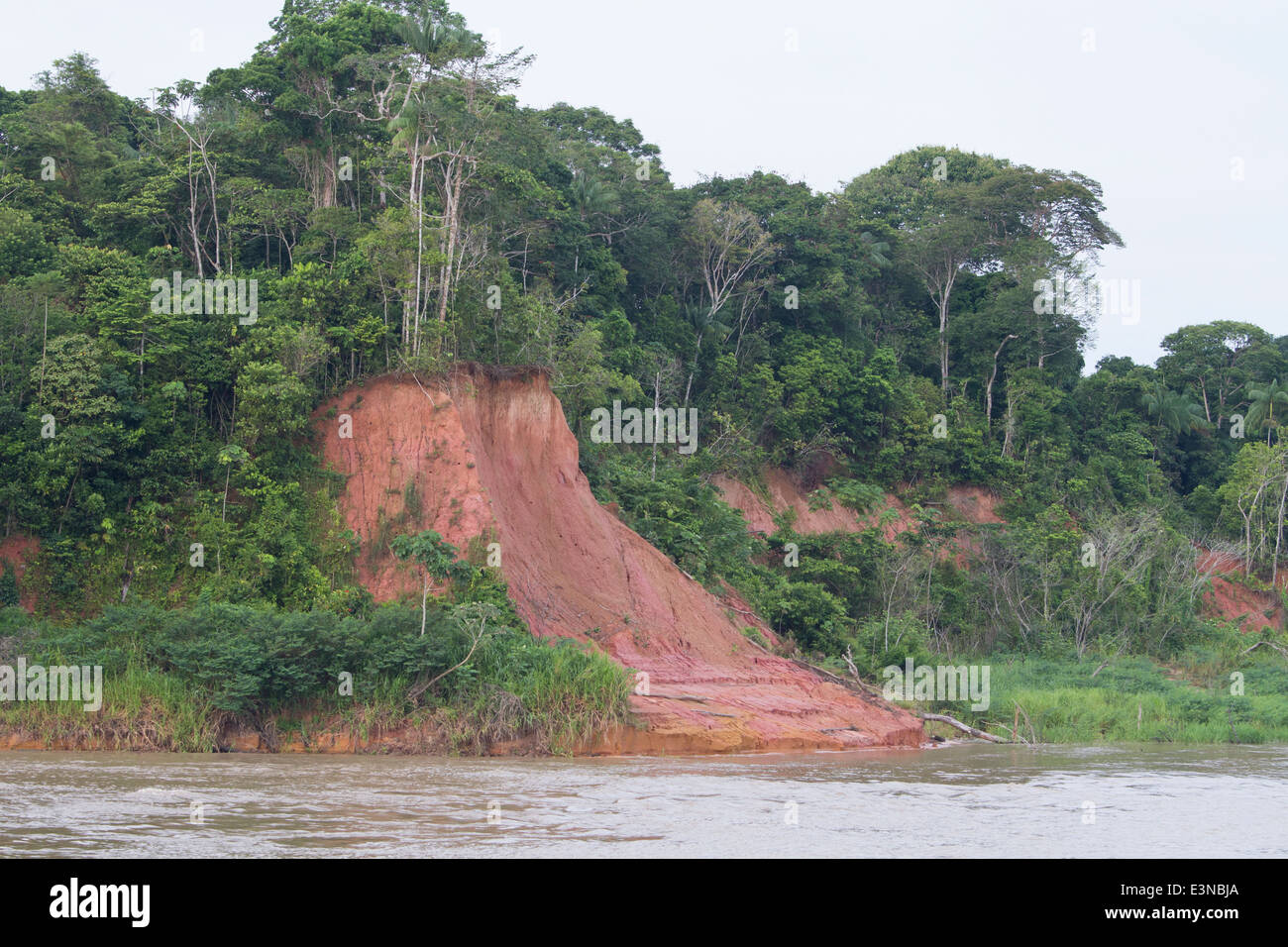 Animal erosion hi-res stock photography and images - Alamy