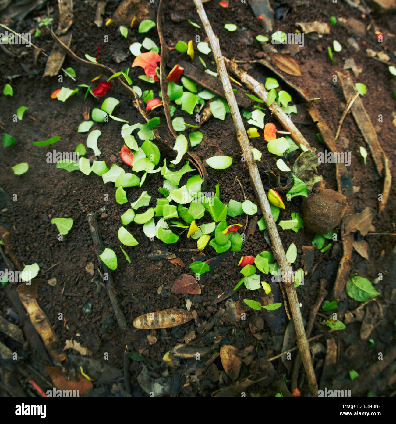 Mud Cutter High Resolution Stock Photography and Images - Alamy