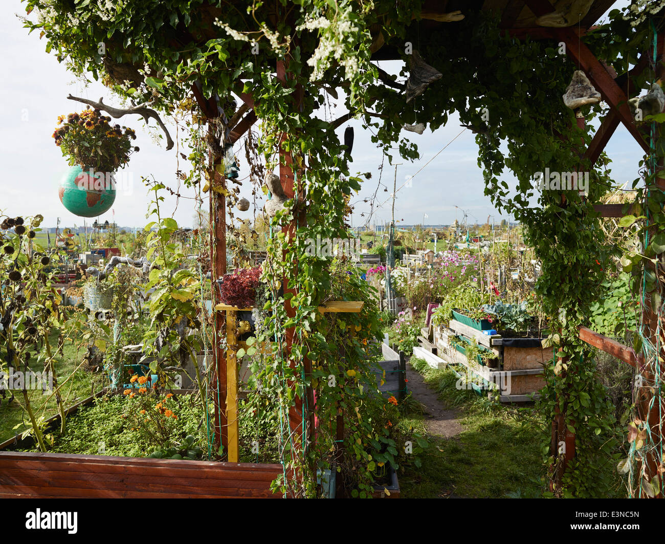 Plants growing in garden Stock Photo - Alamy