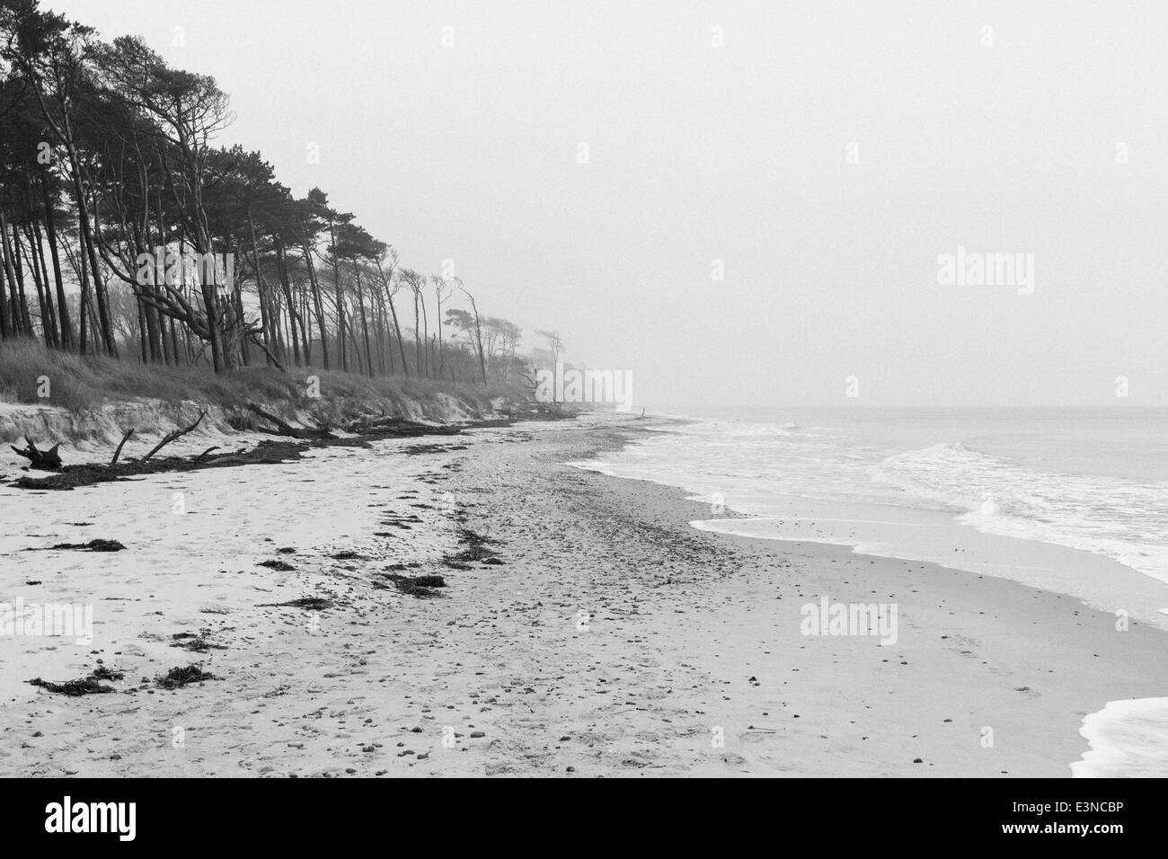 Tranquil view of Baltic Sea, Prerow, Germany Stock Photo - Alamy
