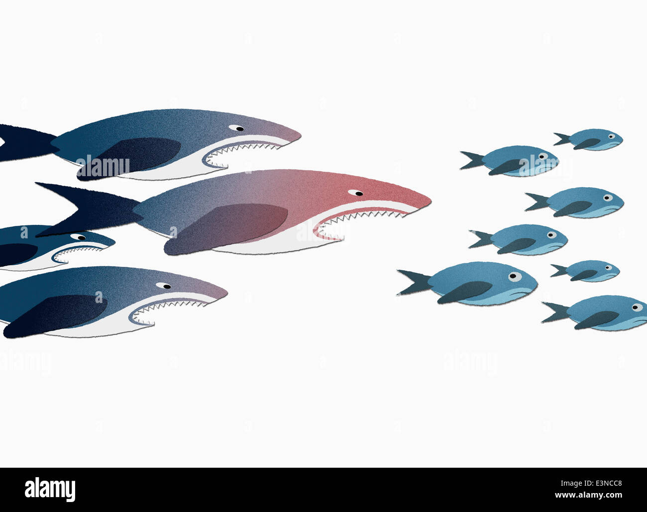 Sharks chasing small fish over white background Stock Photo - Alamy
