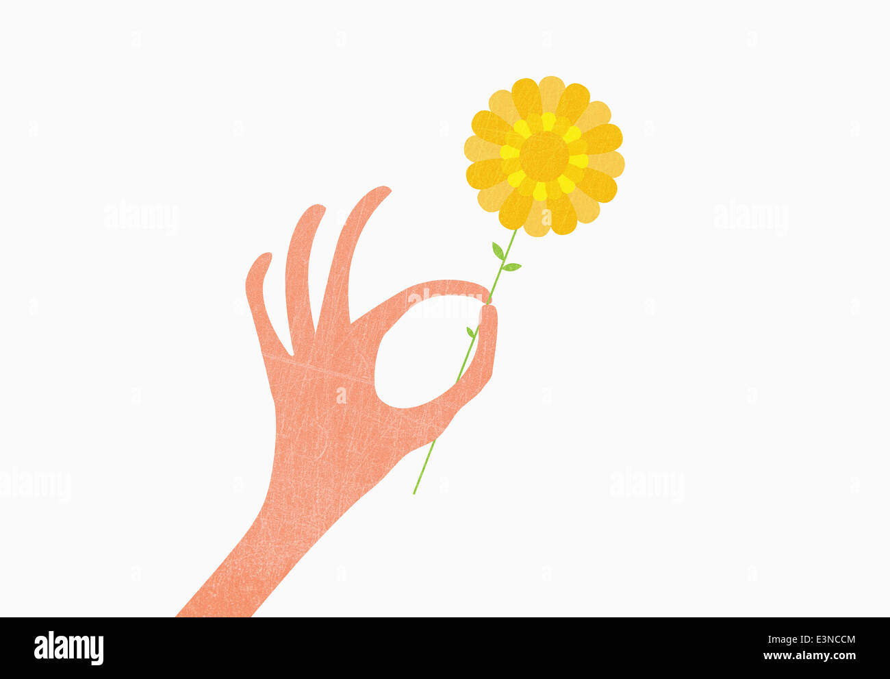 Hand holding yellow against white background Stock Photo - Alamy