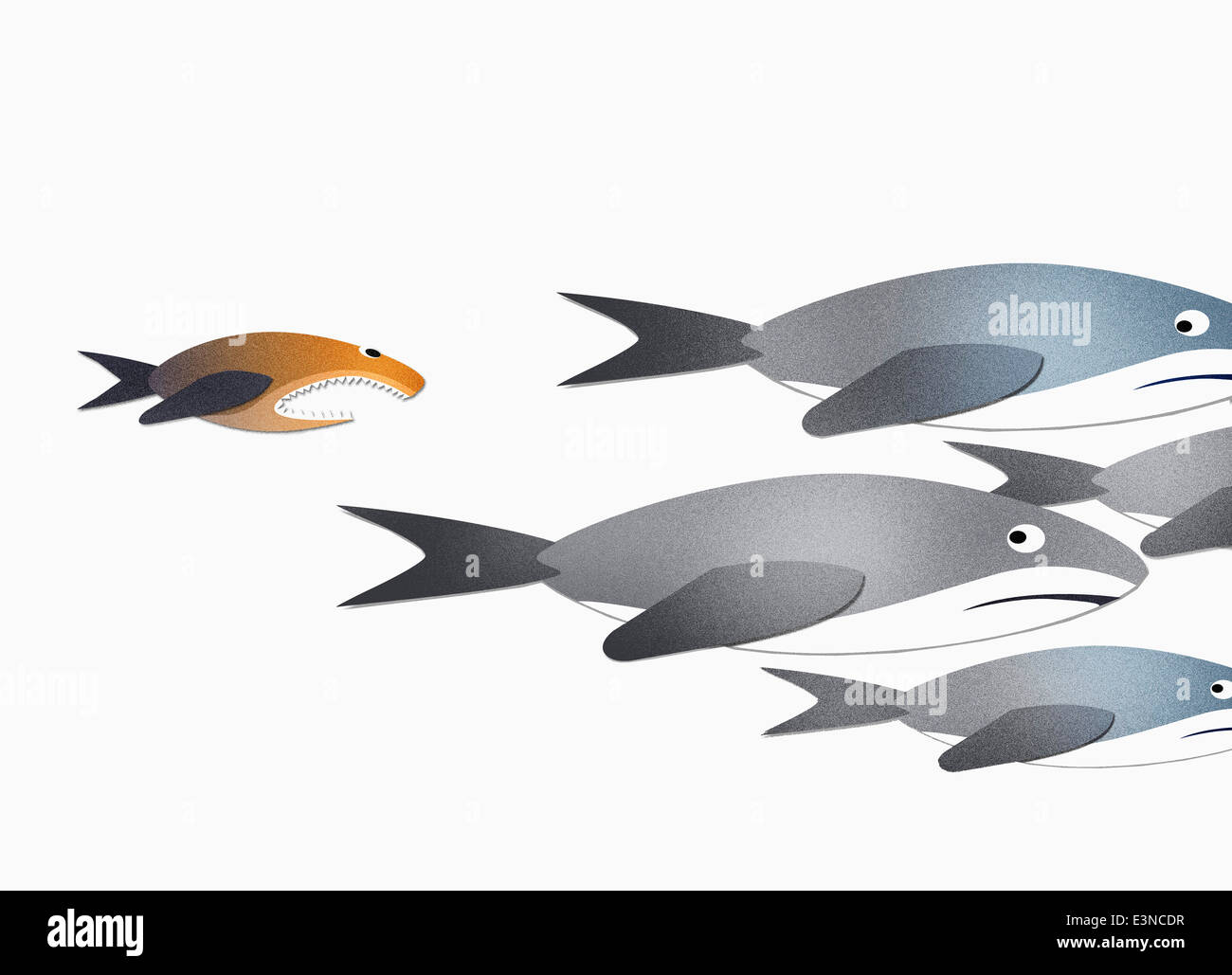 A small fish chasing sharks over white background Stock Photo - Alamy