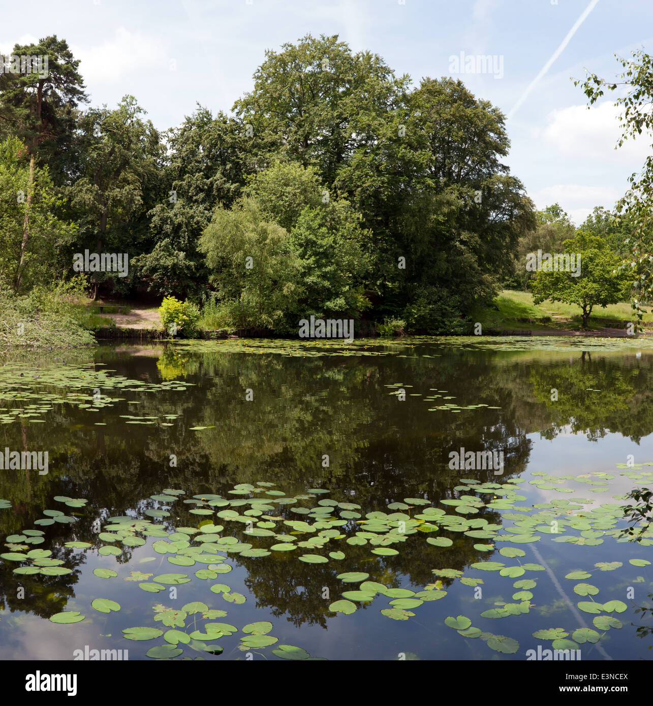 Panoramic photo-stiched view of Keston Ponds, Bromley, Kent Stock Photo ...