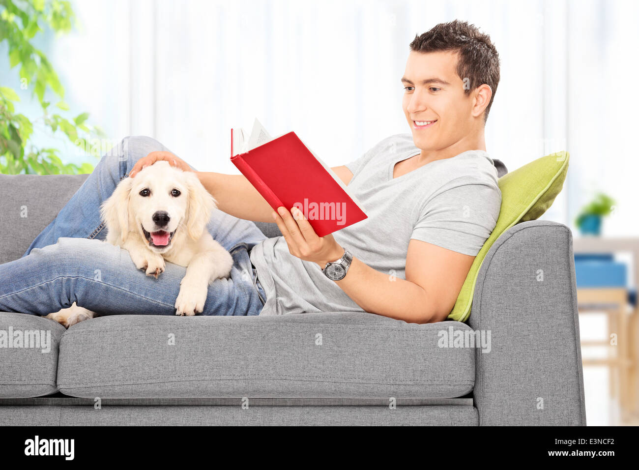 Reading a book with her labrador hi-res stock photography and images ...