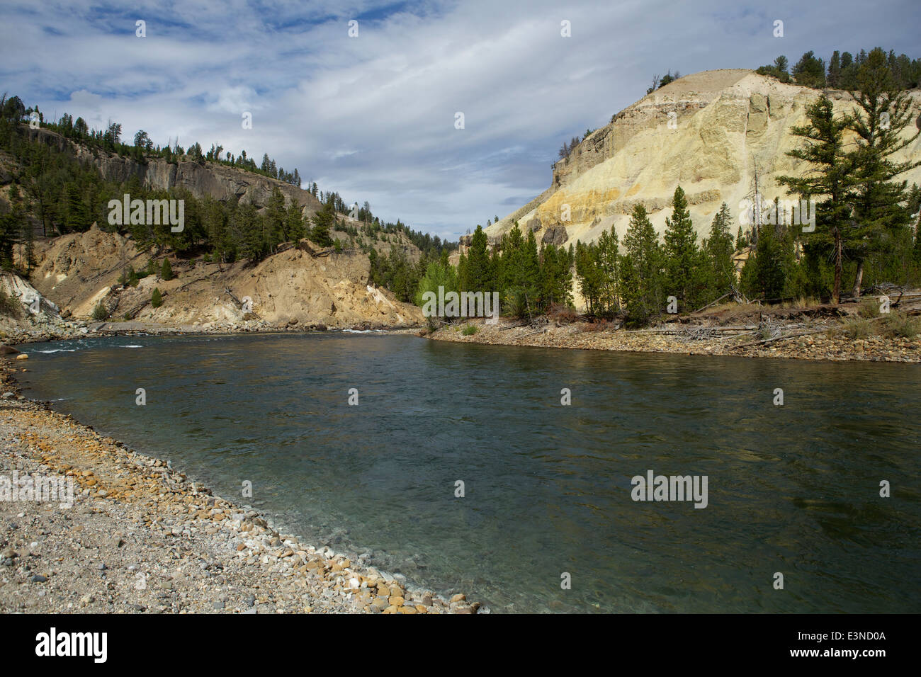 Tower Falls (132 feet/40 meters high) on Tower Creek with fir trees in ...