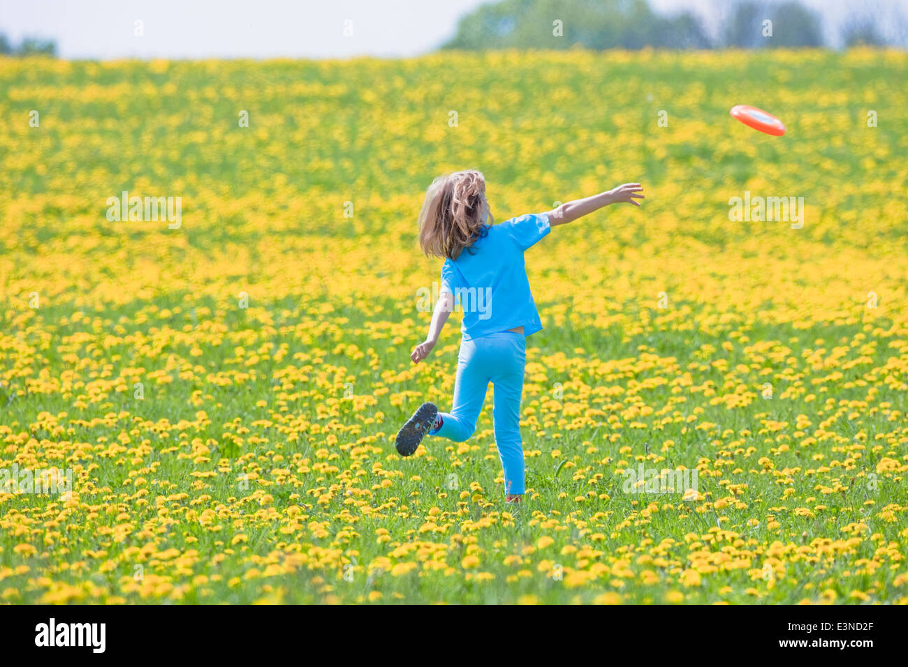 Boy Throwing Frisbee in Meadow of Dandelions Stock Photo - Alamy