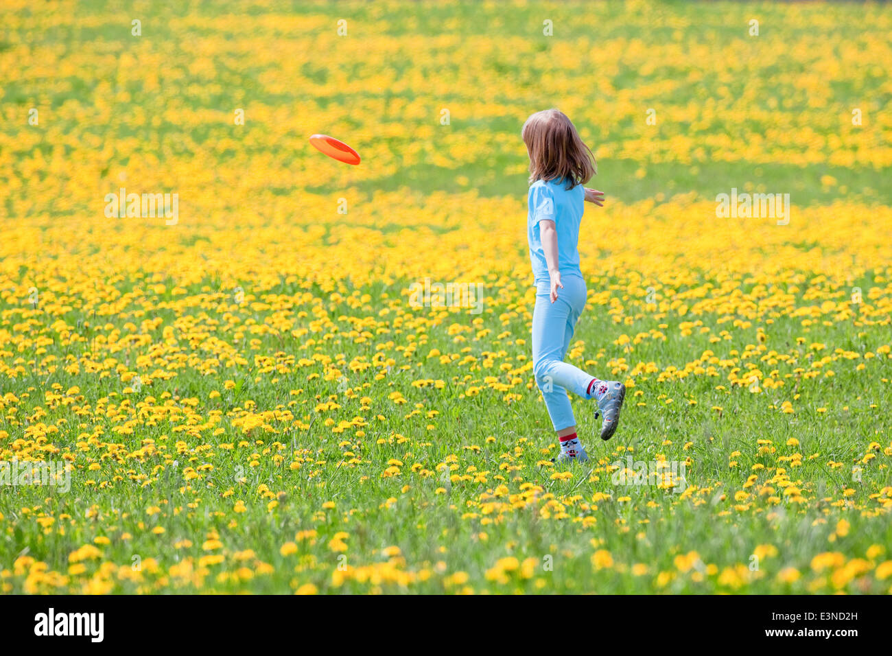 Boy Throwing Frisbee in Meadow of Dandelions Stock Photo - Alamy