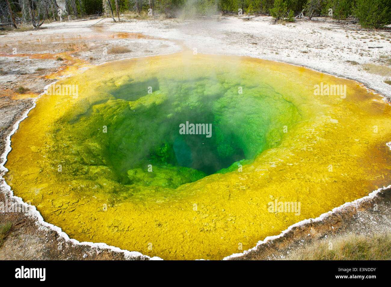 Morning Glory Pool - a hot spring pool coloured green and yellow by ...