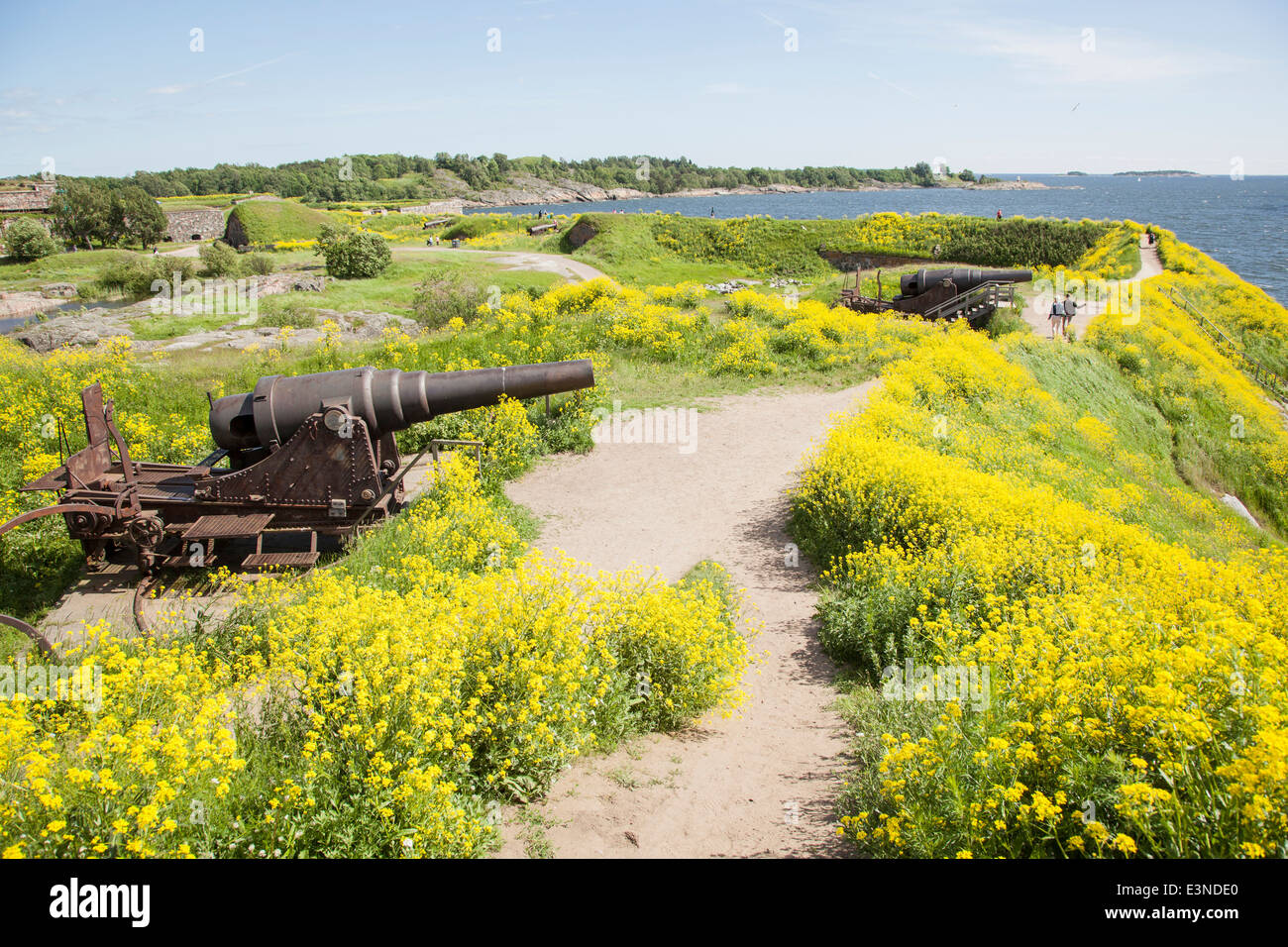 canons and flowers in the summer on the fortification island ...