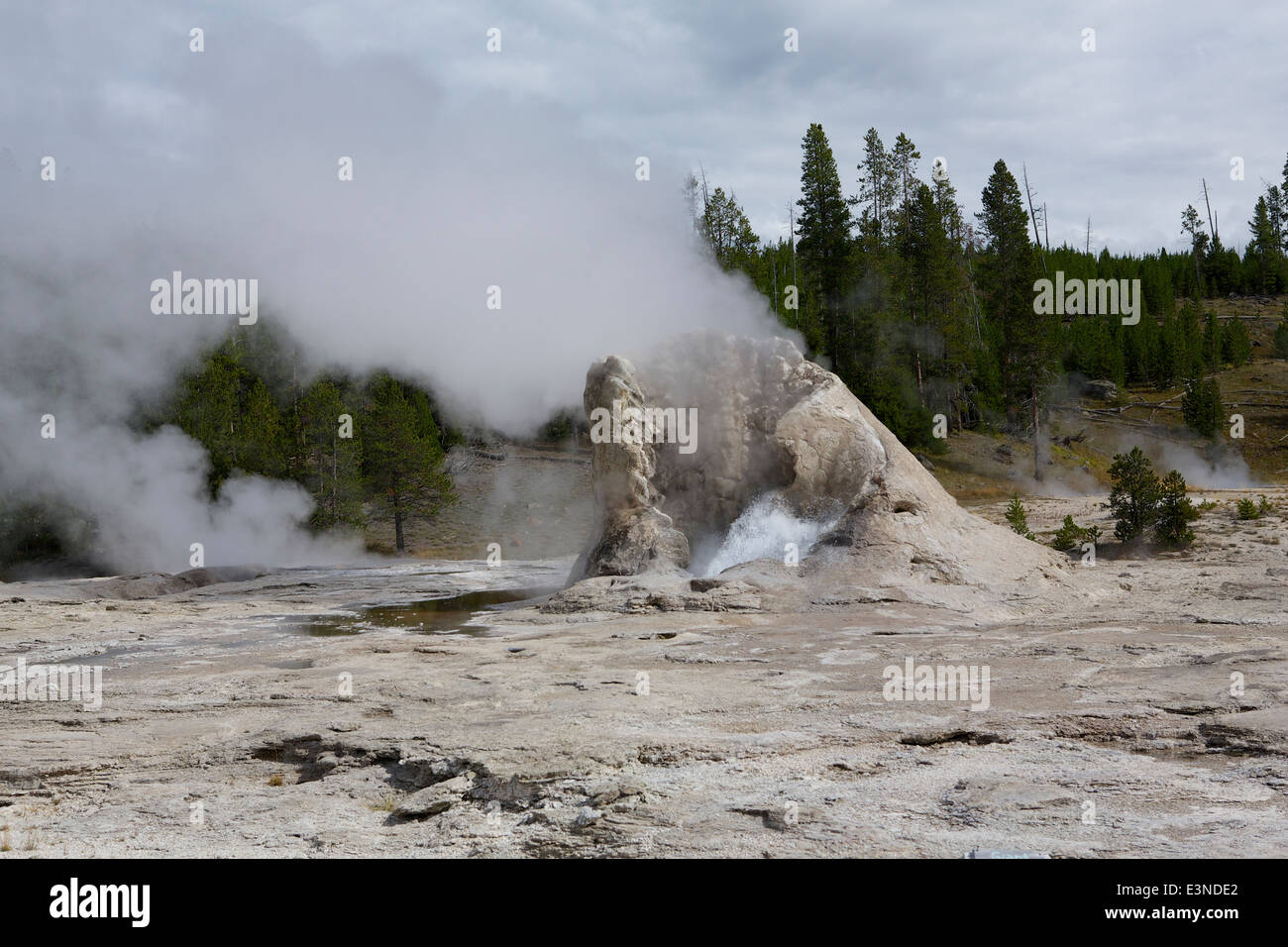 Giant Geyser - a cone-type geyser in the Upper Geyser Basin near Old ...