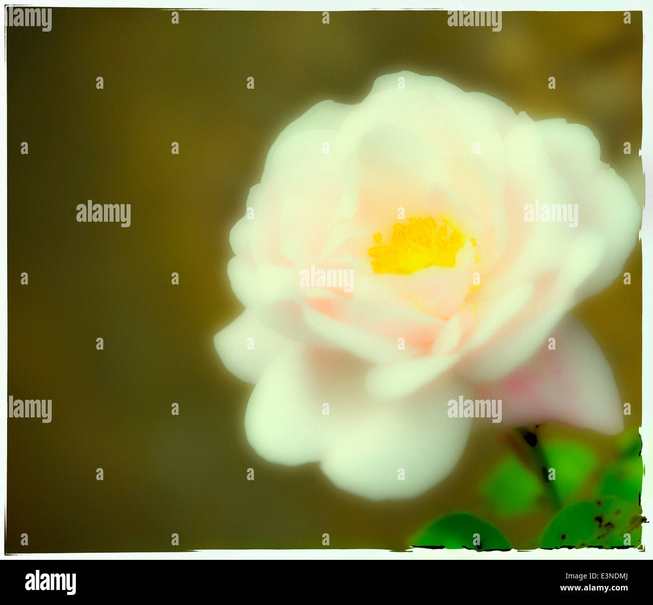 Polaroid filter hi-res stock photography and images - Alamy