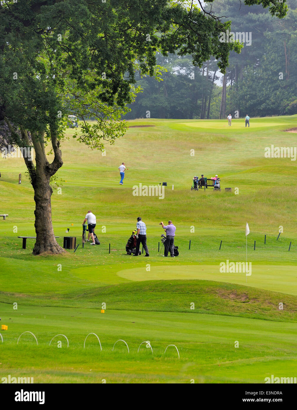 A group of men on a golf course England UK Stock Photo - Alamy
