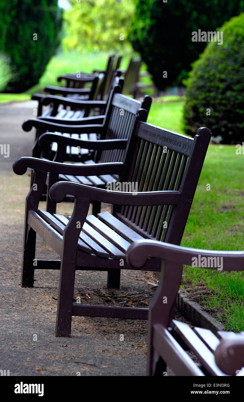 A line of park benches Wollaton Park Nottingham England UK Stock Photo ...