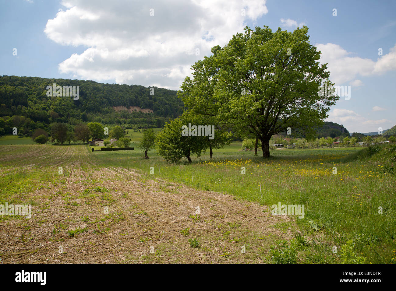 Agricutural landscape near Ornans, Franche-Comté, Doubs, France Stock ...