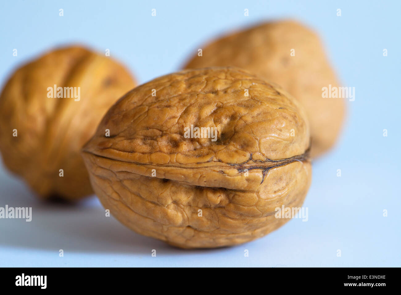 Walnuts in close up Stock Photo - Alamy