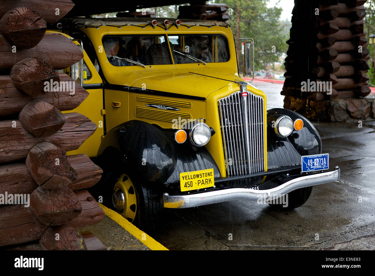 Restored traditional Yellowstone yellow bus (number 433) first used in ...
