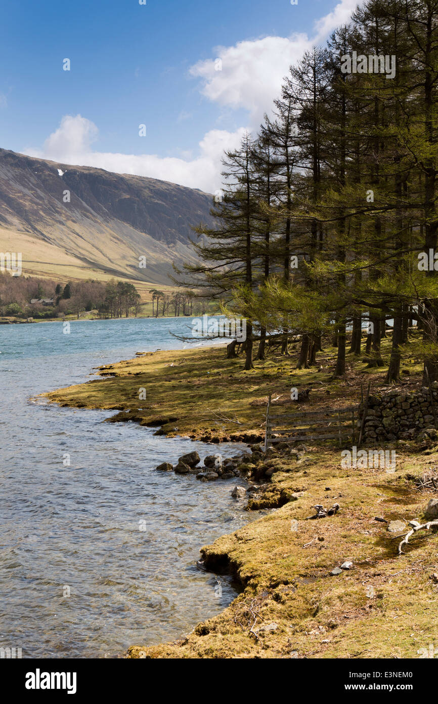 Lakeside trees hi-res stock photography and images - Alamy