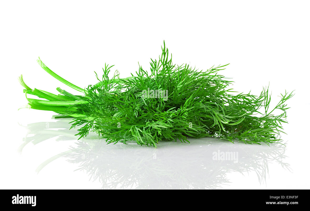 dill herb leaf isolated Stock Photo - Alamy