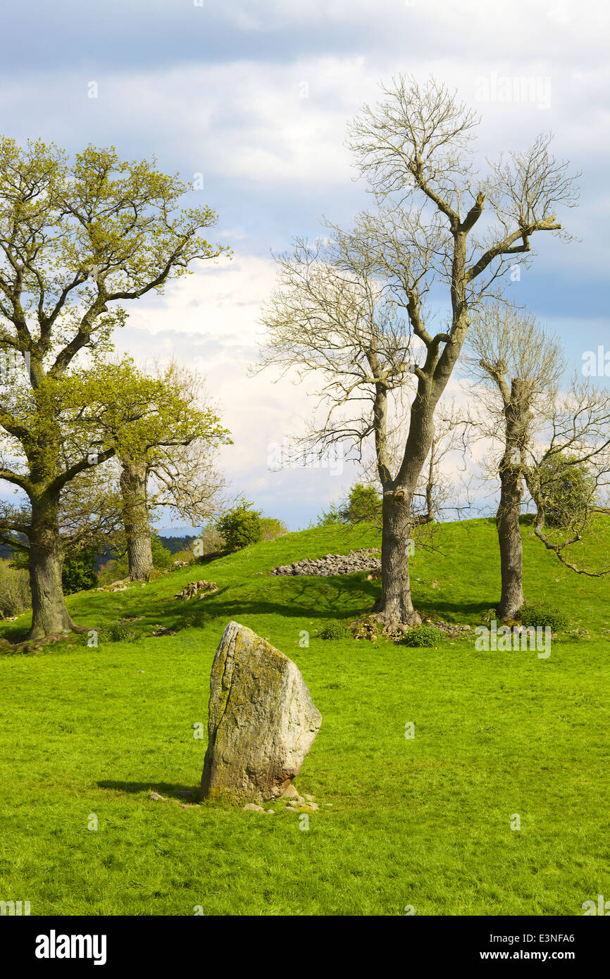 Mayburgh Henge Standing stone. Eamont Bridge, Penrith, Cumbria, England ...