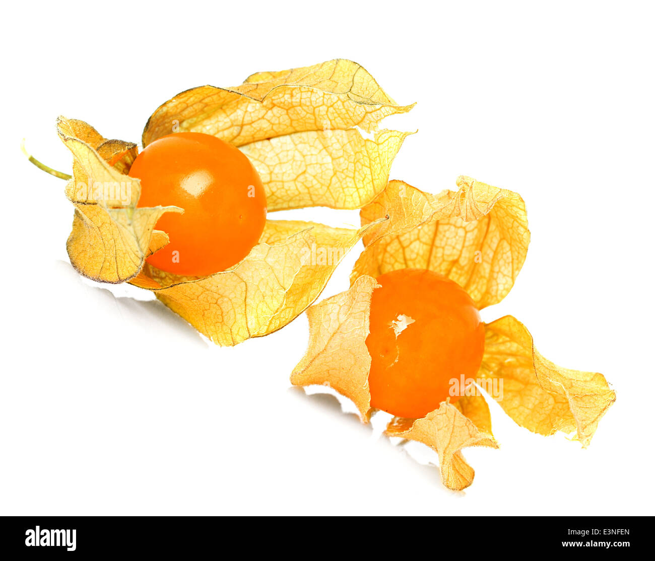 Physalis fruit isolated on white background Stock Photo - Alamy