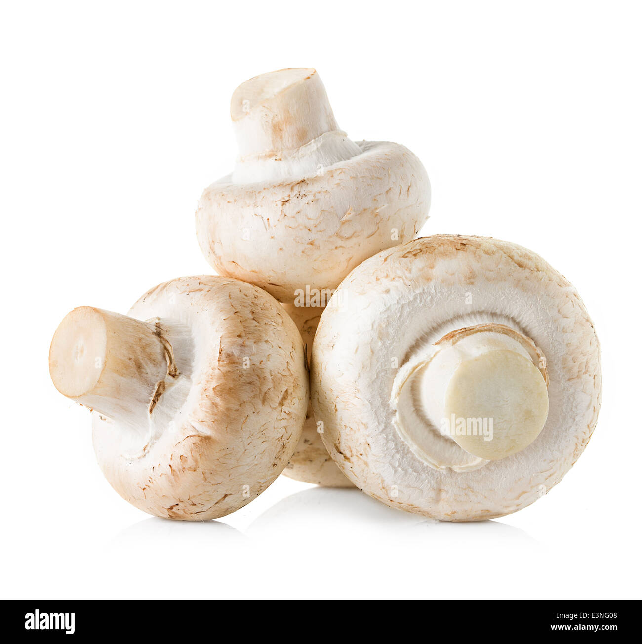 mushrooms champignons close-up isolated on white background Stock Photo ...