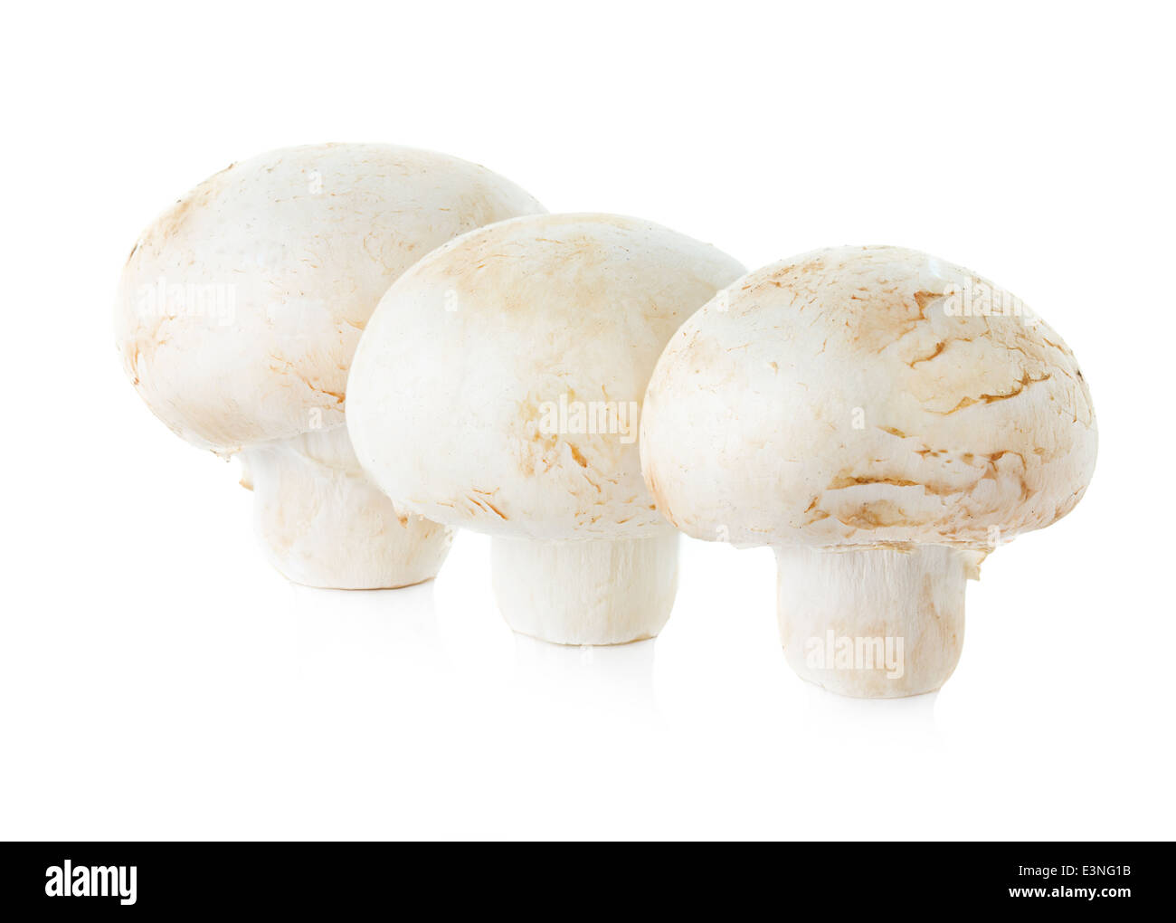 mushrooms champignons close-up isolated on white background Stock Photo ...