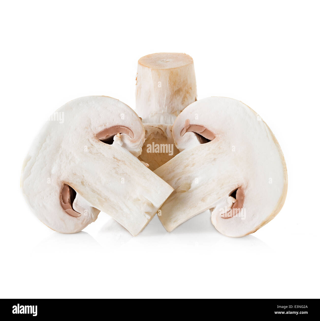 mushrooms champignons close-up isolated on white background Stock Photo ...