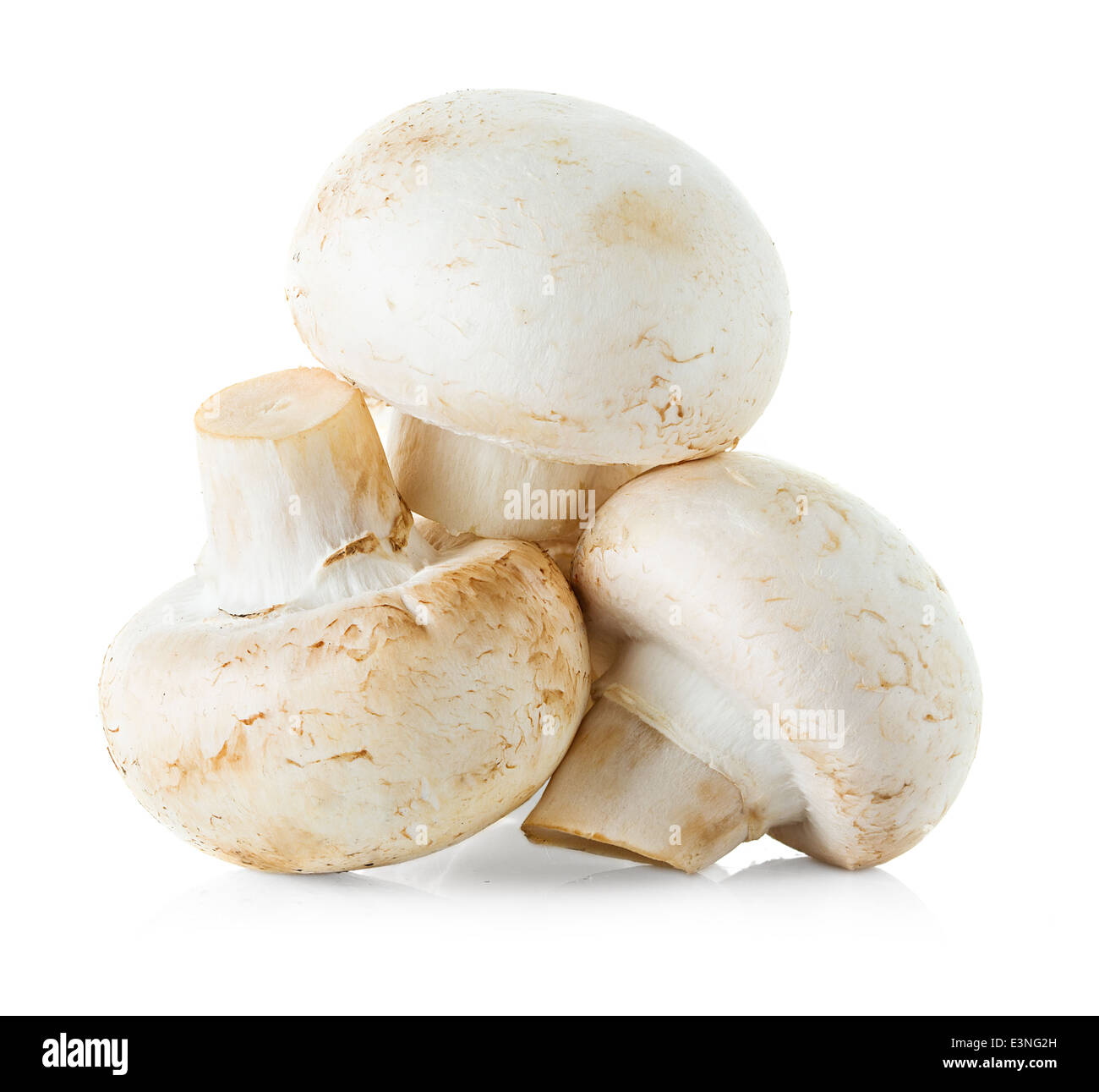 mushrooms champignons close-up isolated on white background Stock Photo ...