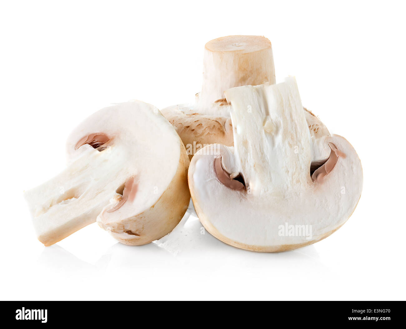 mushrooms champignons close-up isolated on white background Stock Photo ...