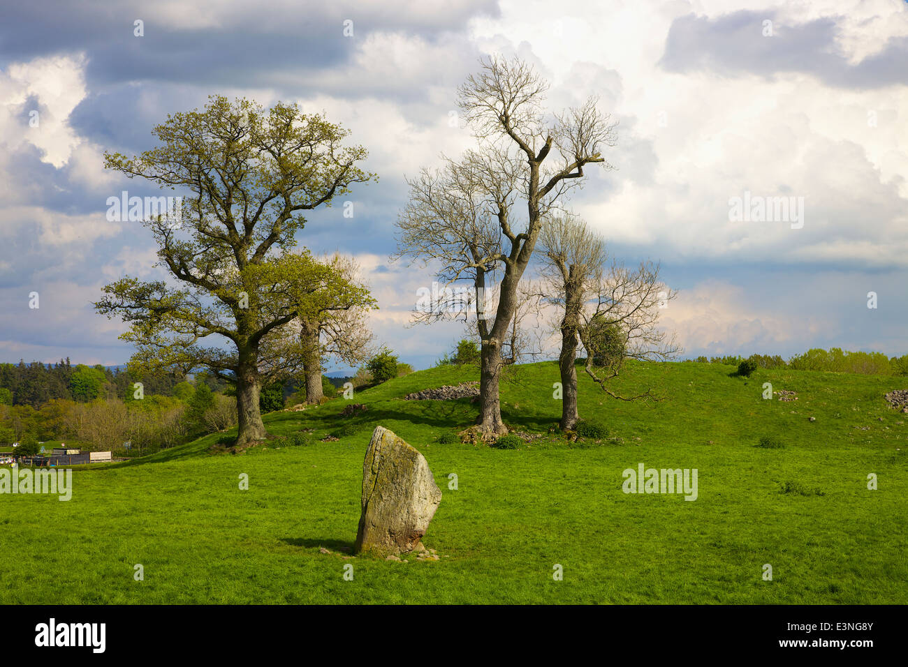 Mayburgh Henge Standing stone. Eamont Bridge, Penrith, Cumbria, England ...