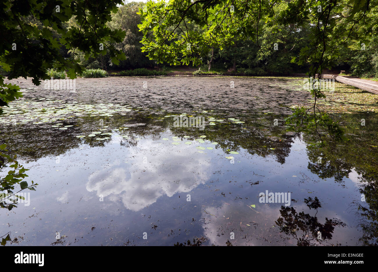 A view of Keston Ponds, Bromley, Kent Stock Photo - Alamy