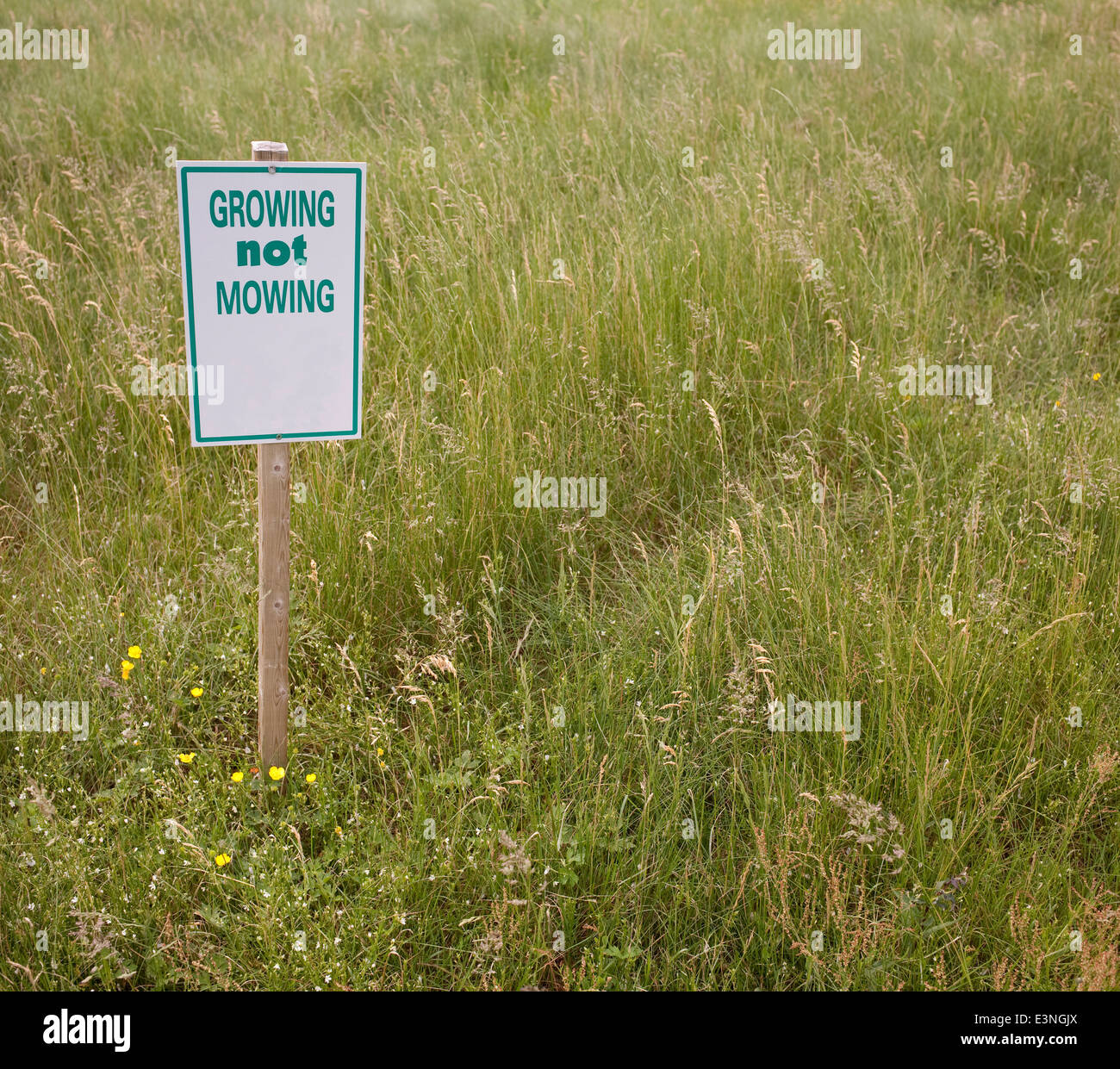 Sign - Growing not mowing Stock Photo - Alamy