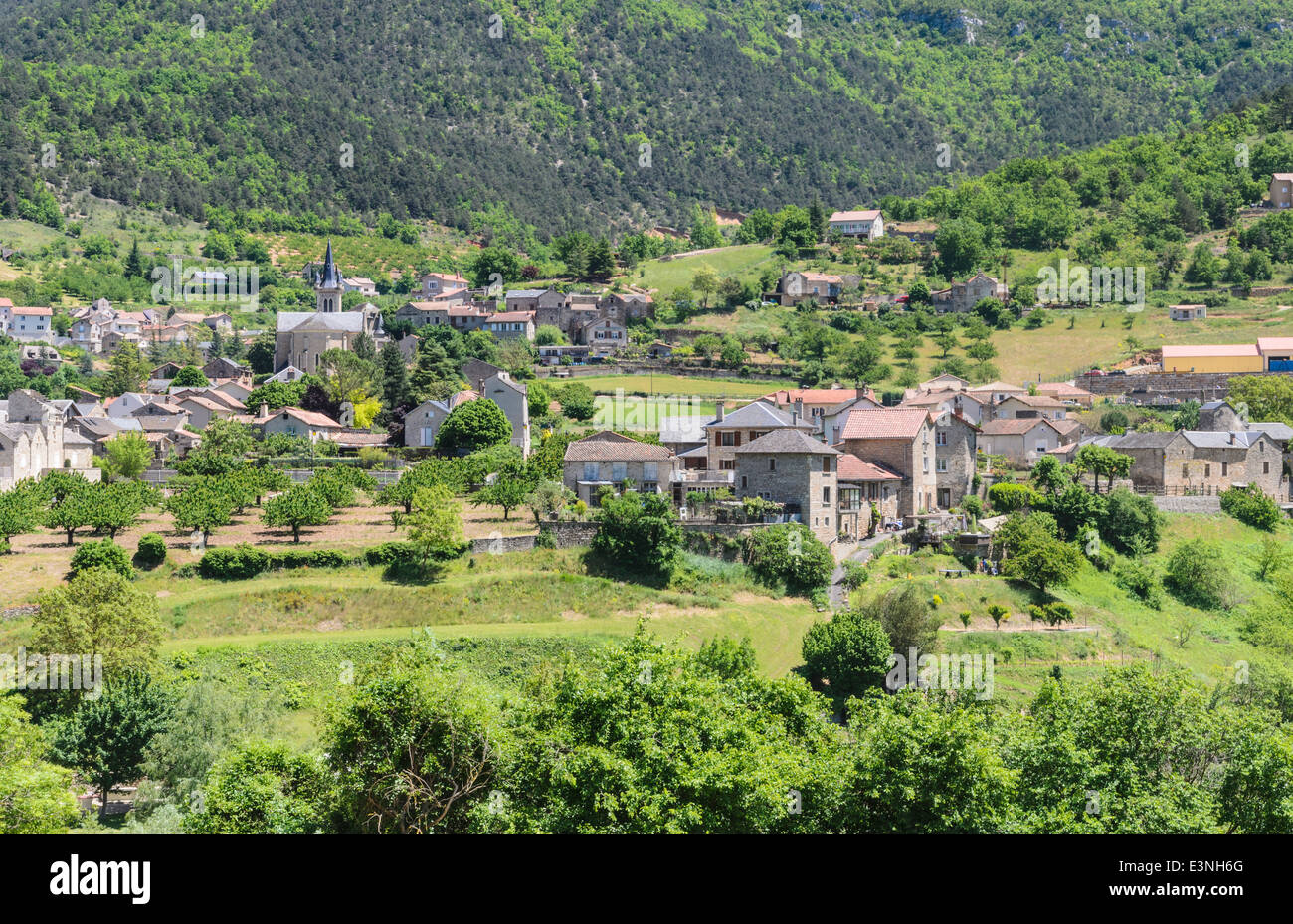 Cresse hi-res stock photography and images - Alamy