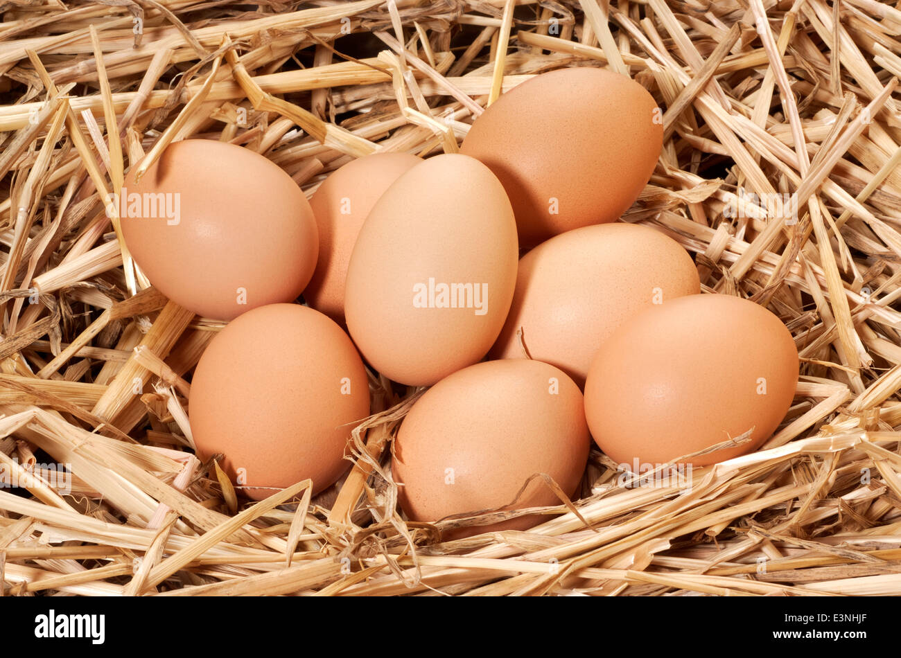 Fresh farm eggs Stock Photo - Alamy
