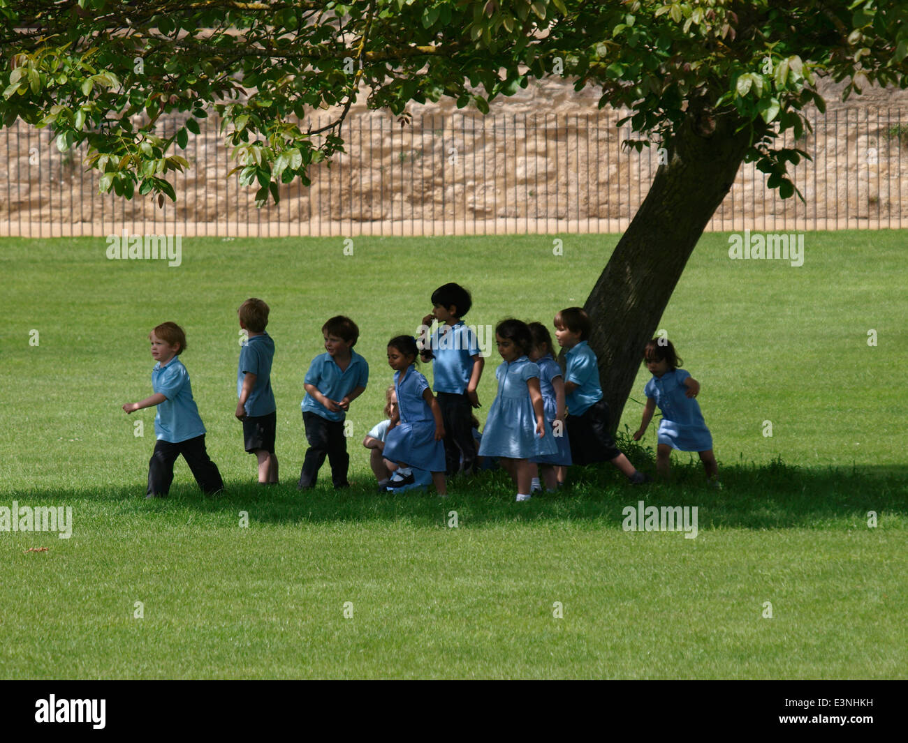 A group of young school children in the shade of a large tree on a ...
