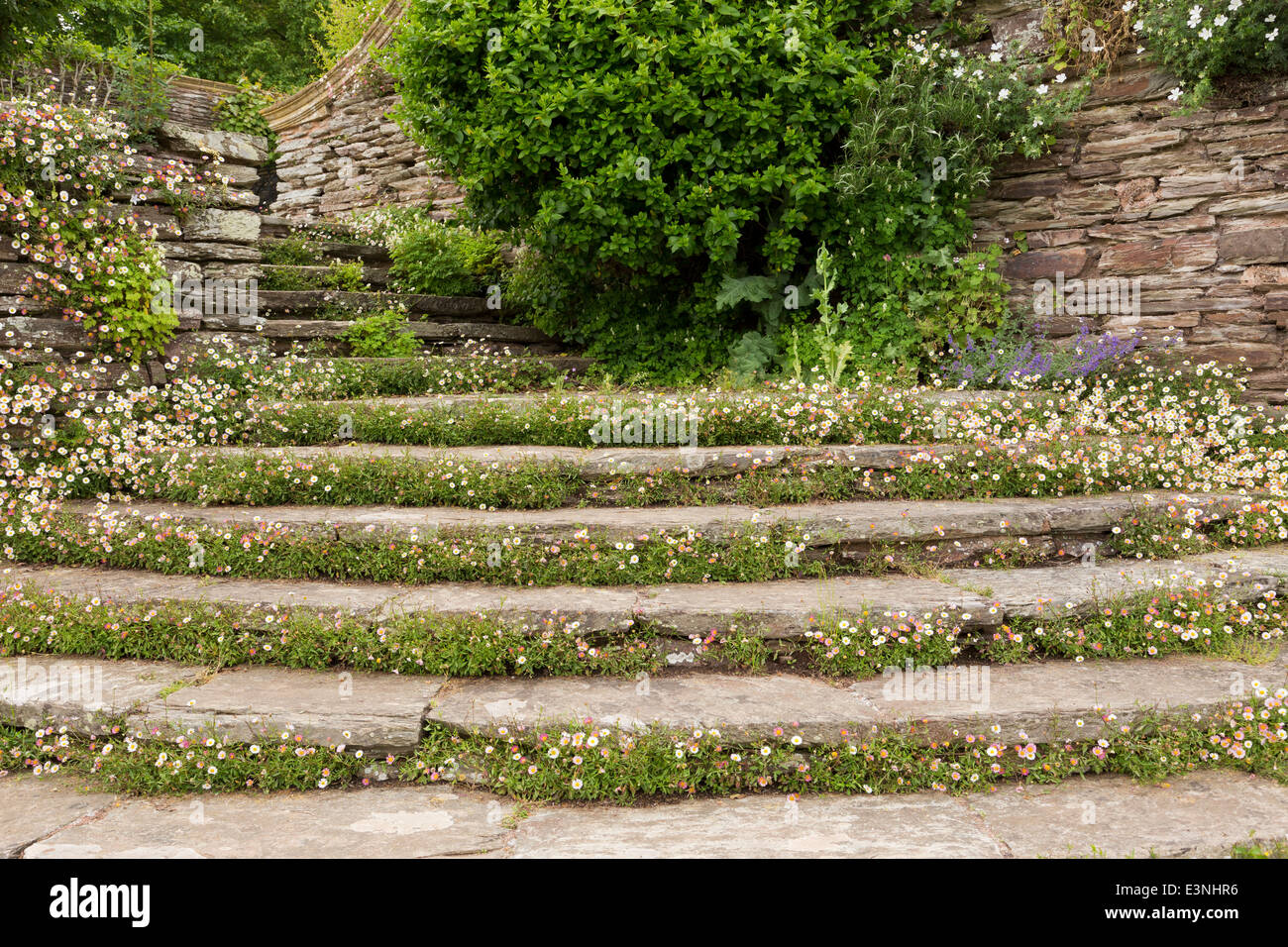 Garden stone steps hi-res stock photography and images - Alamy