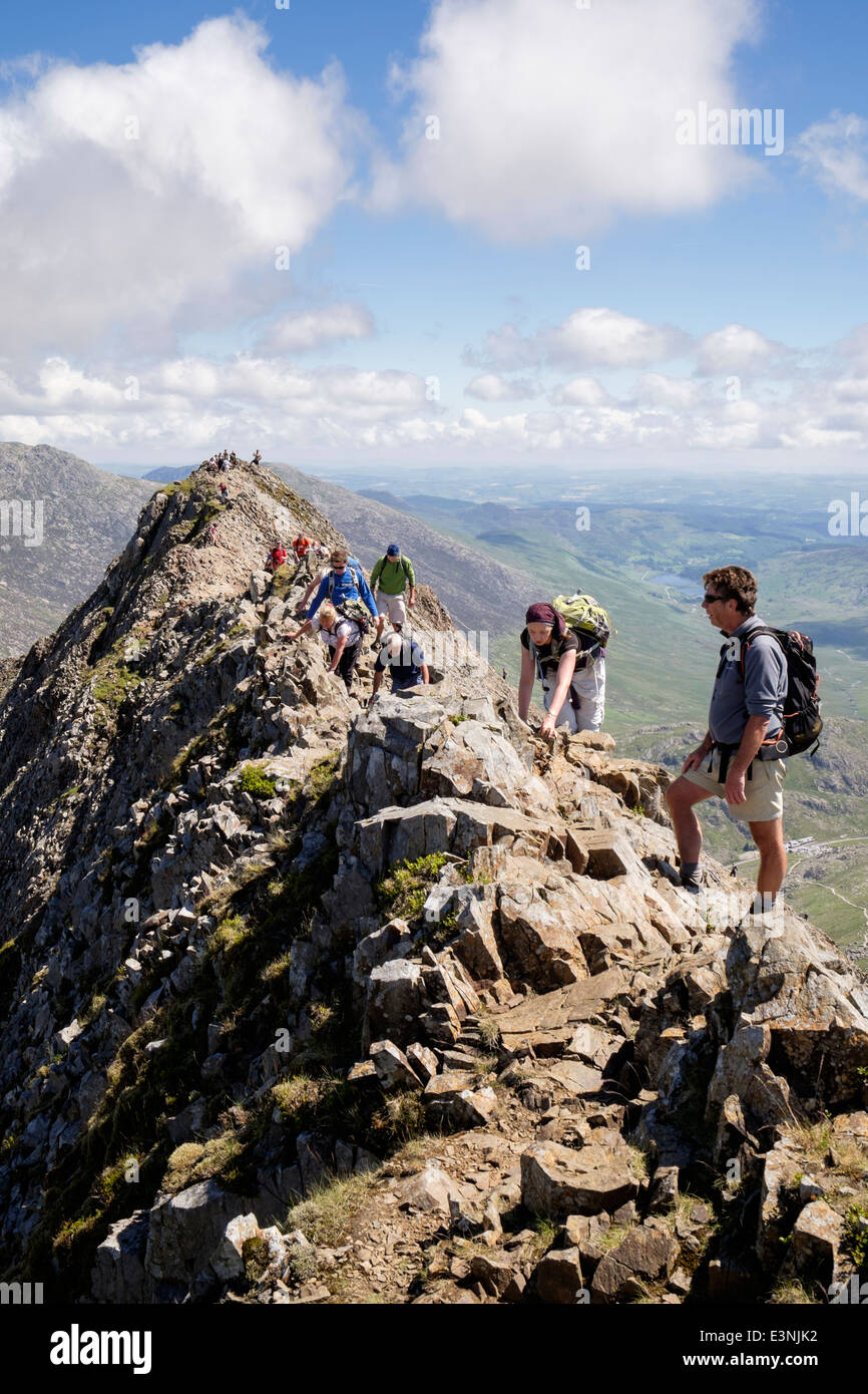 View back along Crib Goch ridge scramble with hikers scrambling at ...