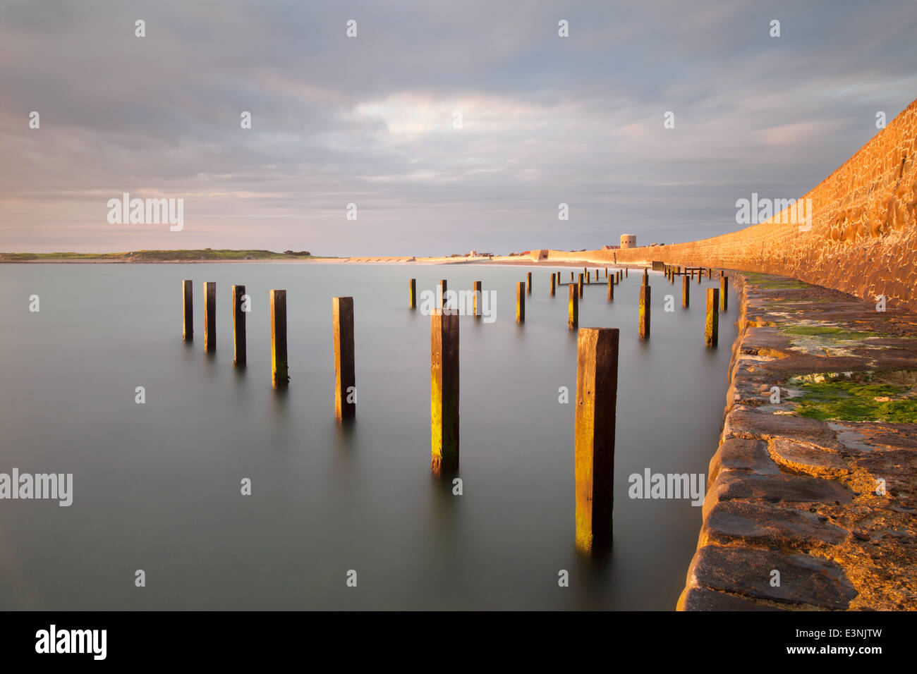 Vazon bay sea defence posts Guernsey Stock Photo - Alamy