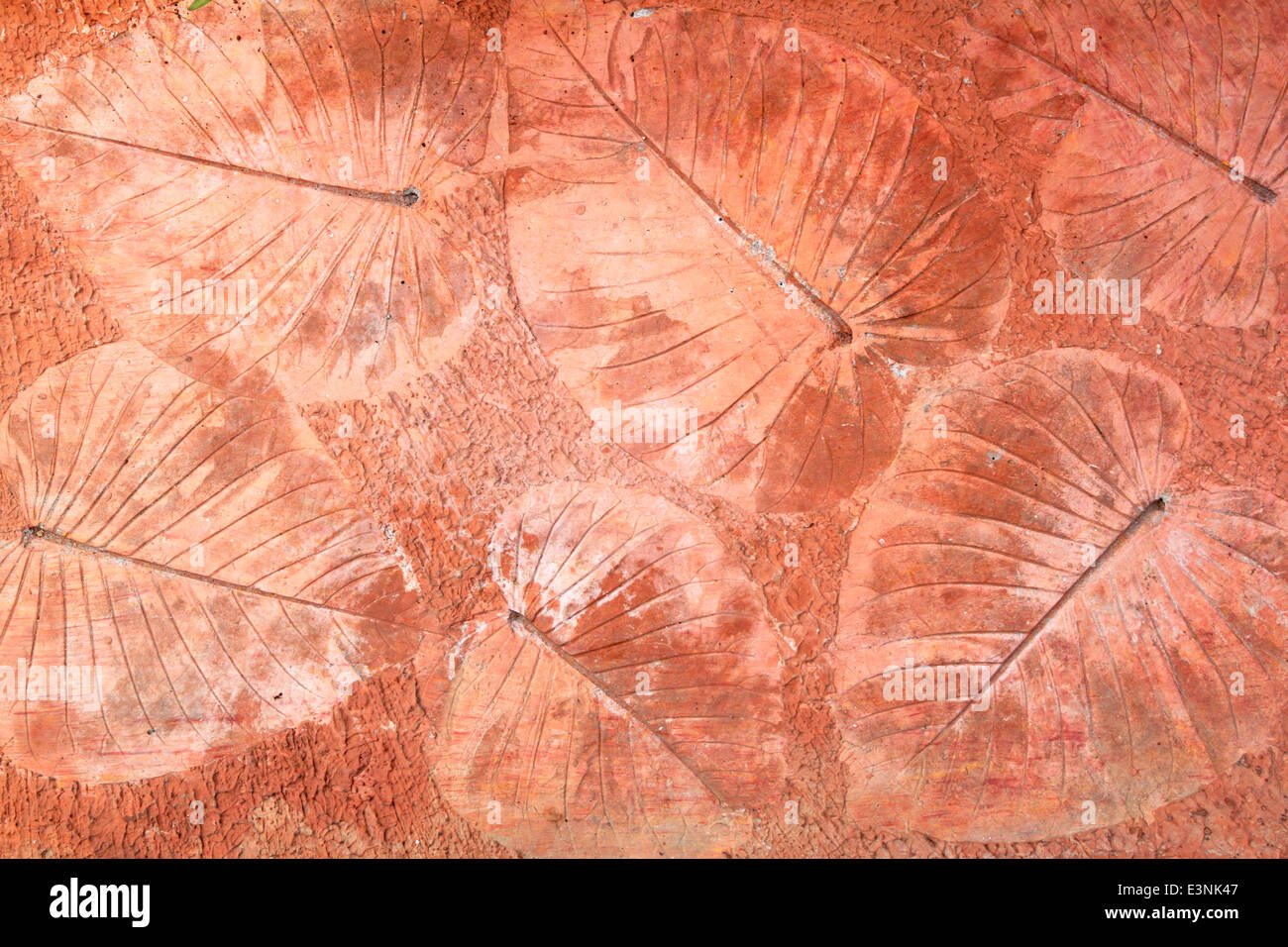 marks of leaf on the concrete pavement Stock Photo - Alamy