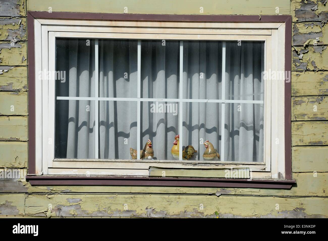 The window of a house, Germany, 18. June 2014. Photo: Frank May Stock ...
