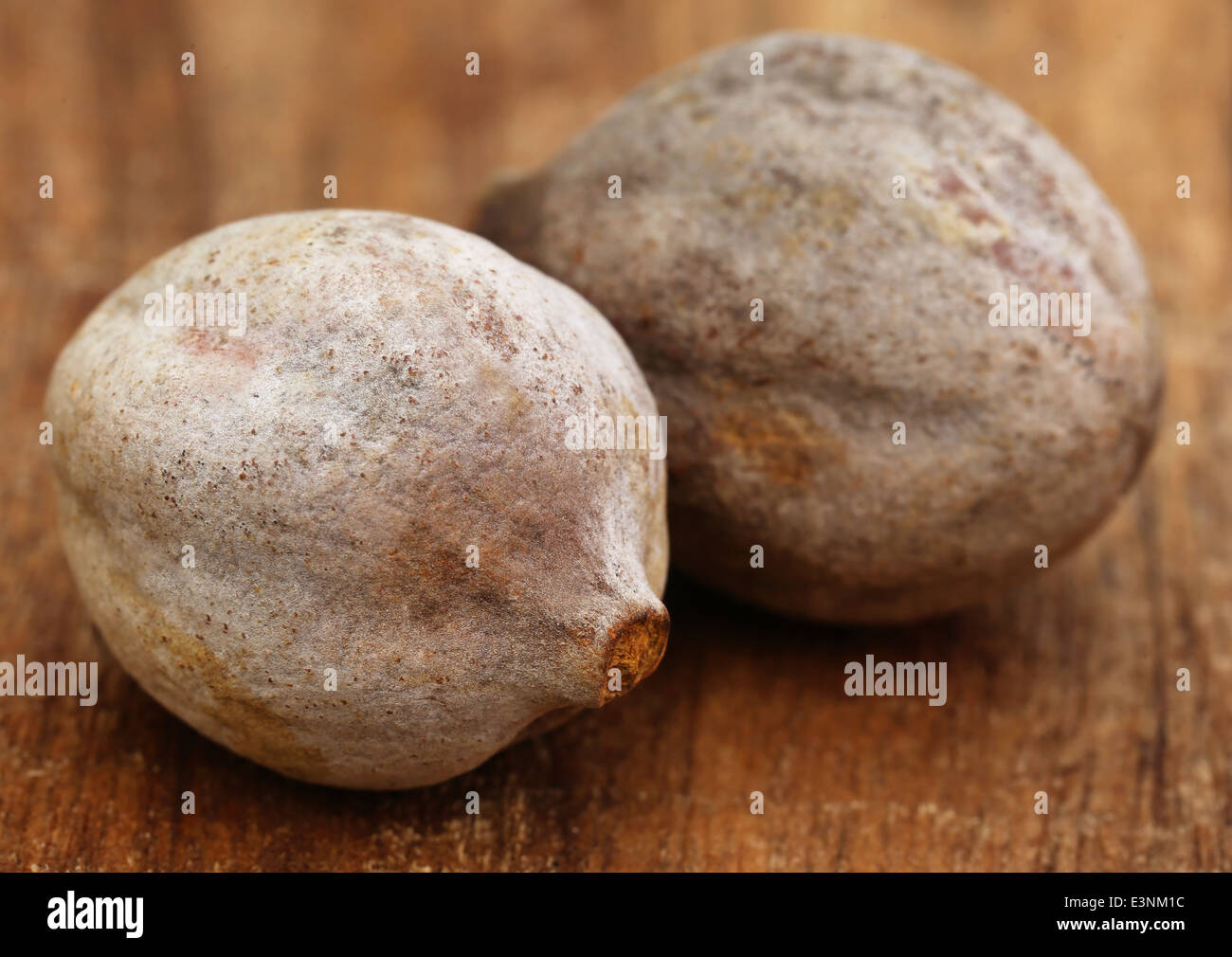 Terminalia bellericais or medicinal Bahera fruits of India Stock Photo ...