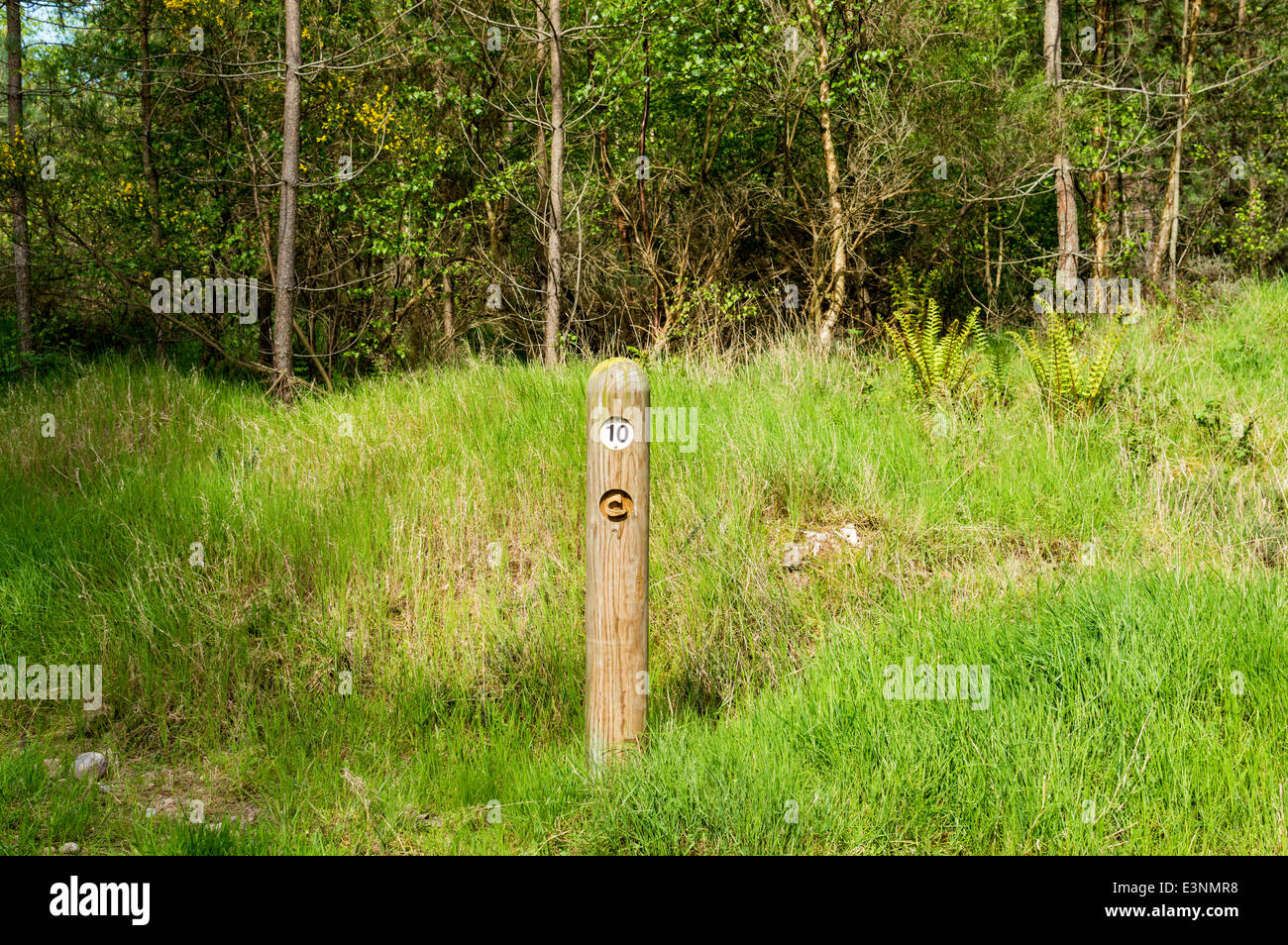 Trail marker trees hi-res stock photography and images - Alamy