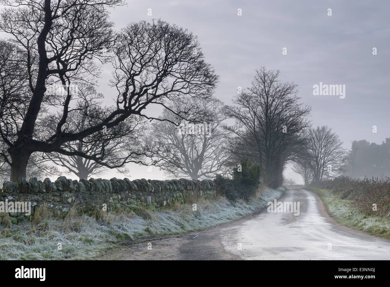 A small road and a stone wall on a misty, foggy English countryside ...